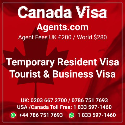 USA Visa Agent US Visa Appointments Agents ESTA London UK